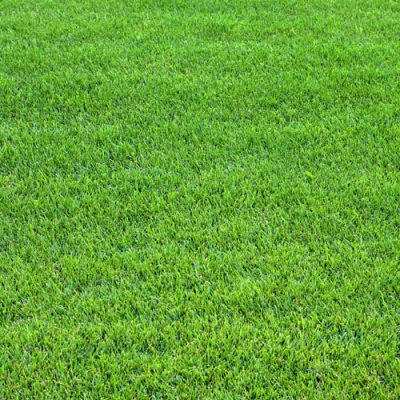 Instant Turf | Instant Grass | Roll Out Turf | Melbourne | H.G. Turf