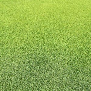 Instant Turf | Instant Grass | Roll Out Turf | Melbourne | H.G. Turf